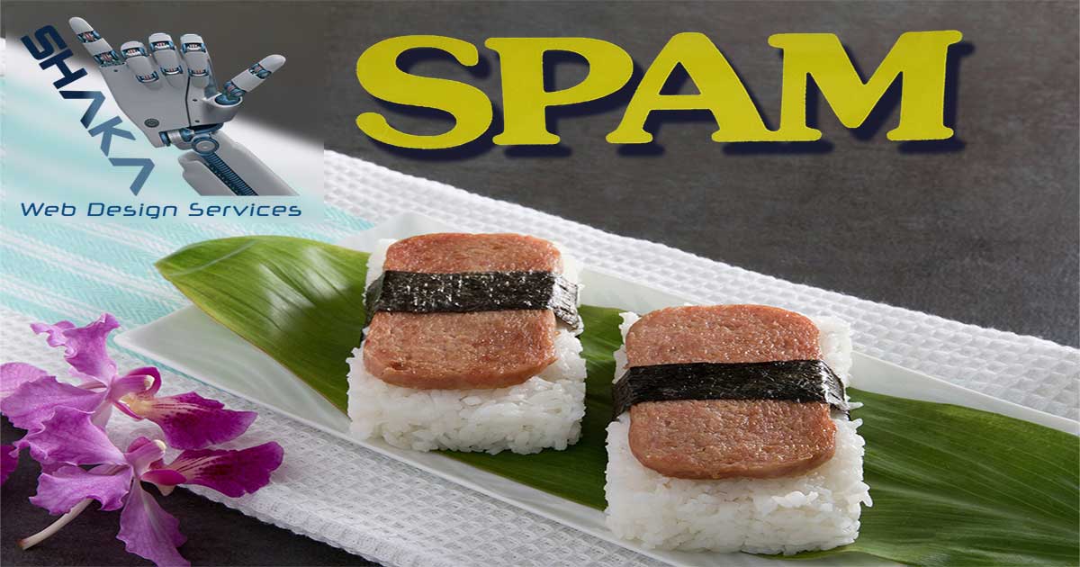 Everything You Didn’t Know About Spam 2021
